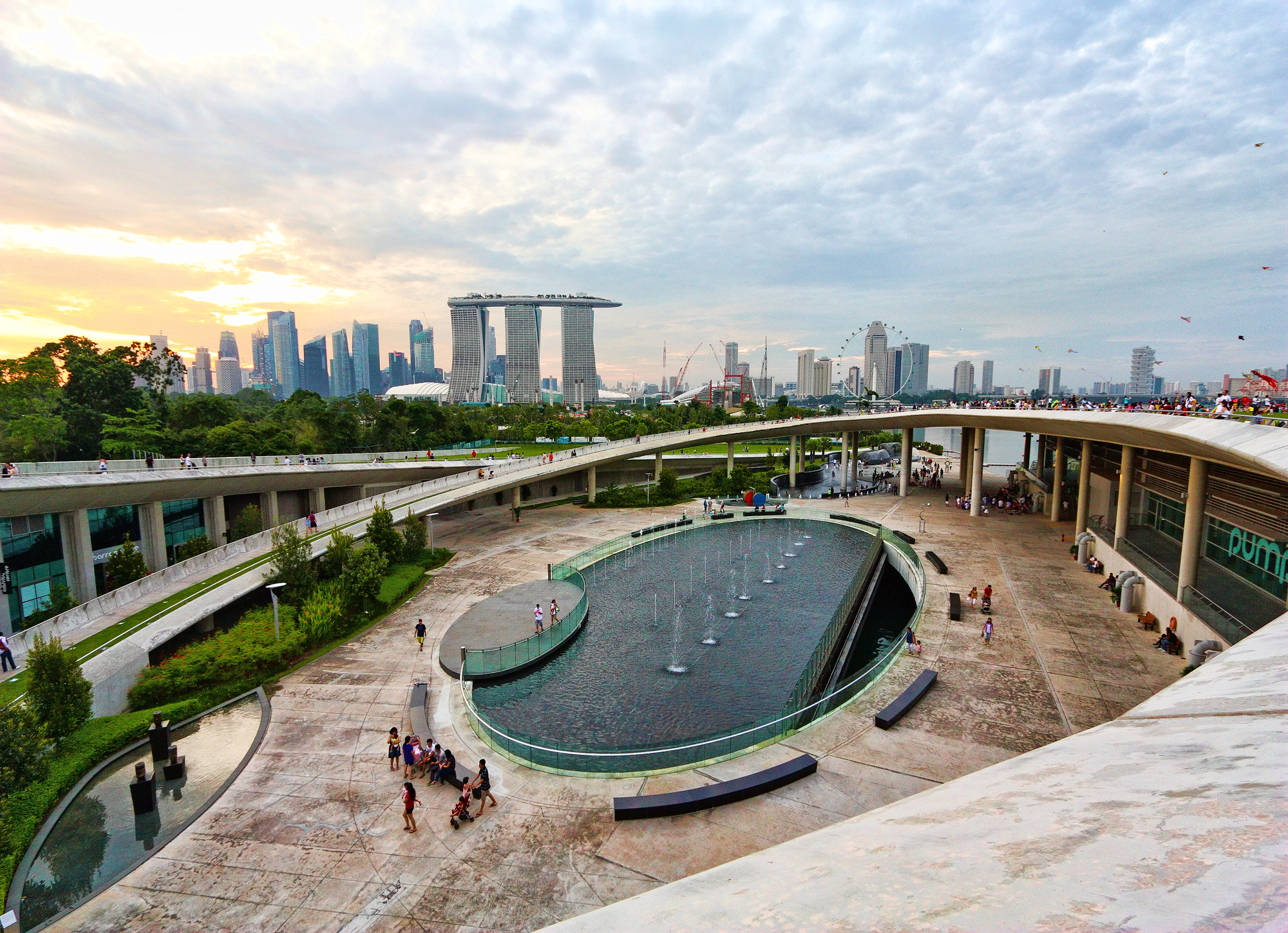 dpp_2514 - Venuerific